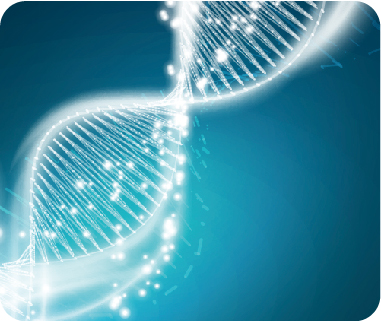 Product-Bloomage Biotech