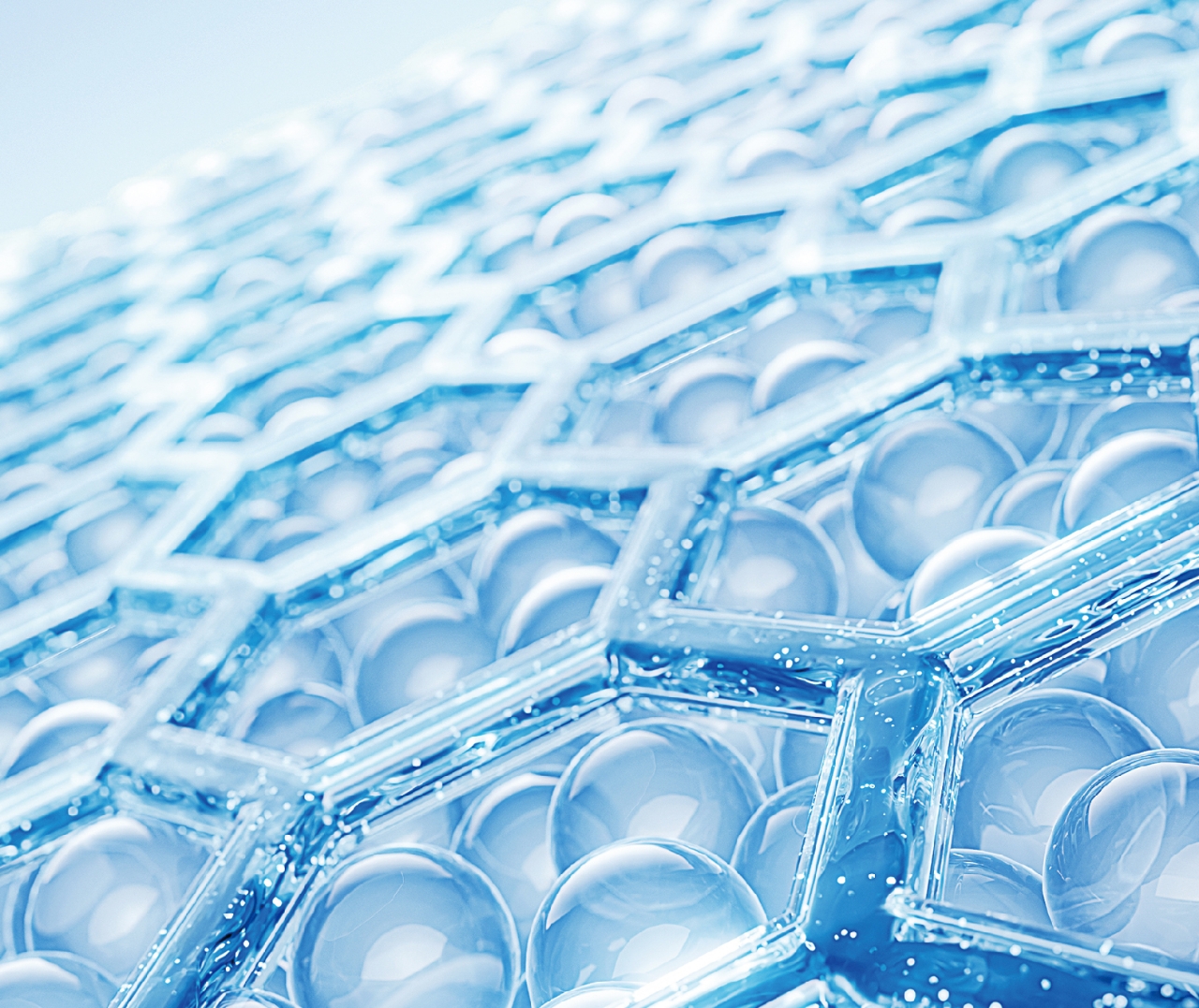 Product-Bloomage Biotech