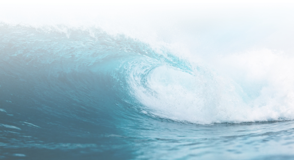 Company News-Bloomage Biotech