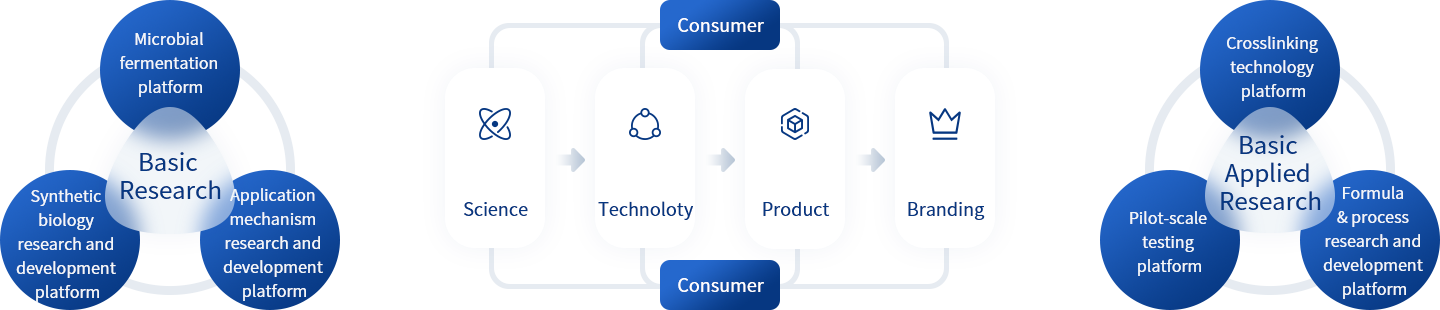 Core Technology-Bloomage Biotech